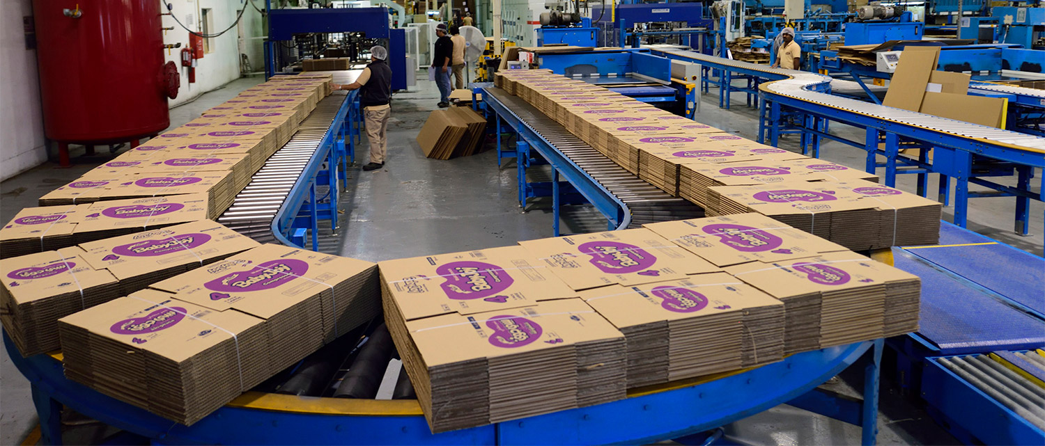 تولید کارتن میوه صادراتی | تولید انواع کارتن | آساناکارتن