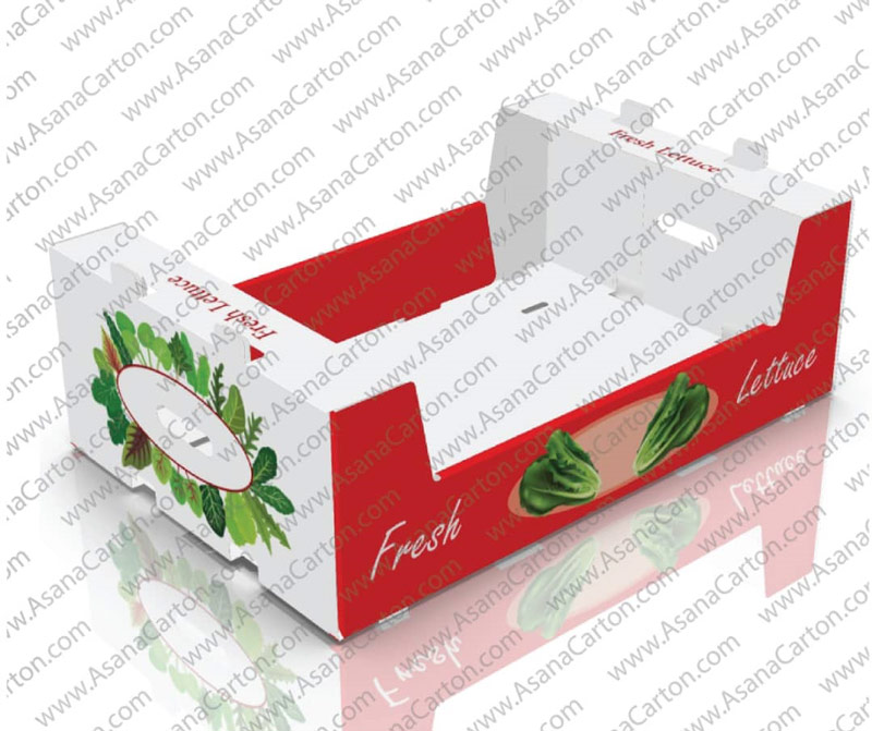 کارتن کاهو صادراتی اهمیت بسته بندی صحیح کاهو آساناکارتن